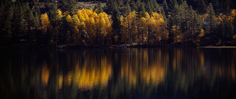 June Lake House