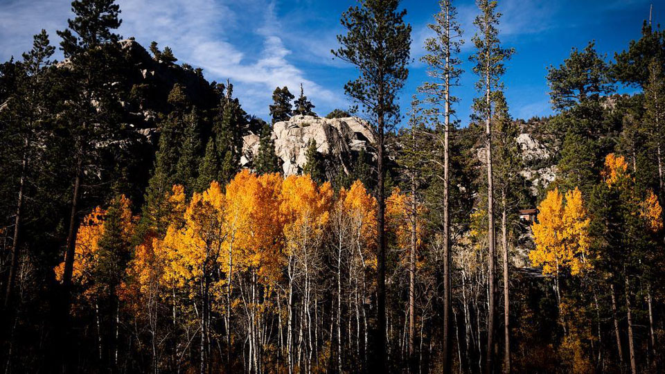 June Lake House
