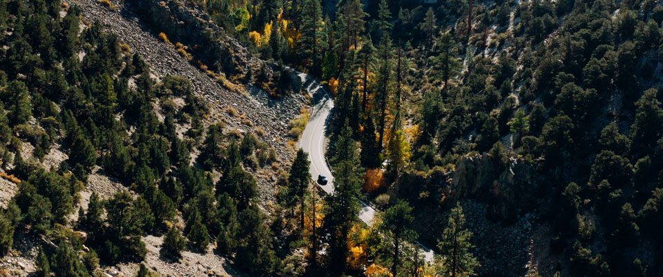 June Lake House